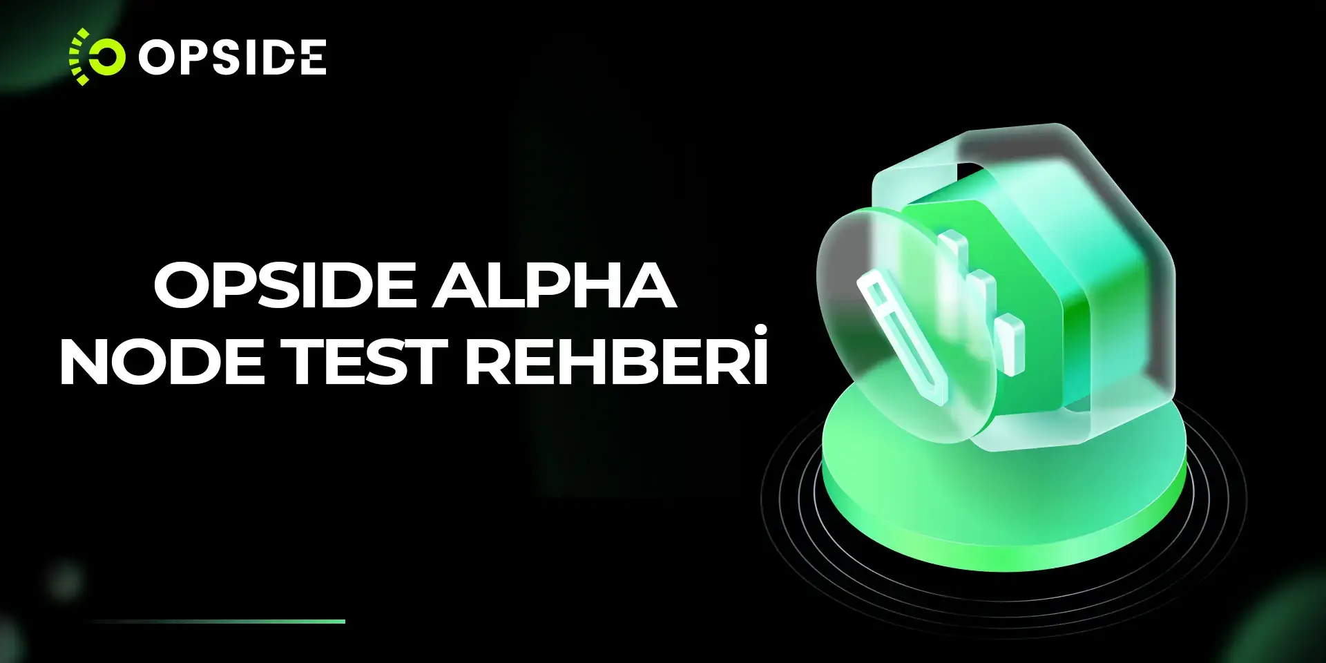 Opside Alpha Node Test Rehberi | Coin Hunters